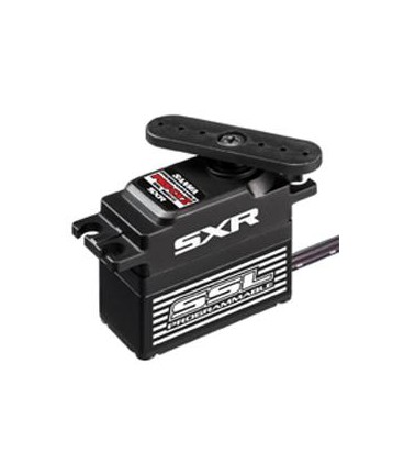 SANWA PGS-CX2 SERVO - Bumpersonline - Tu tienda de radiocontrol